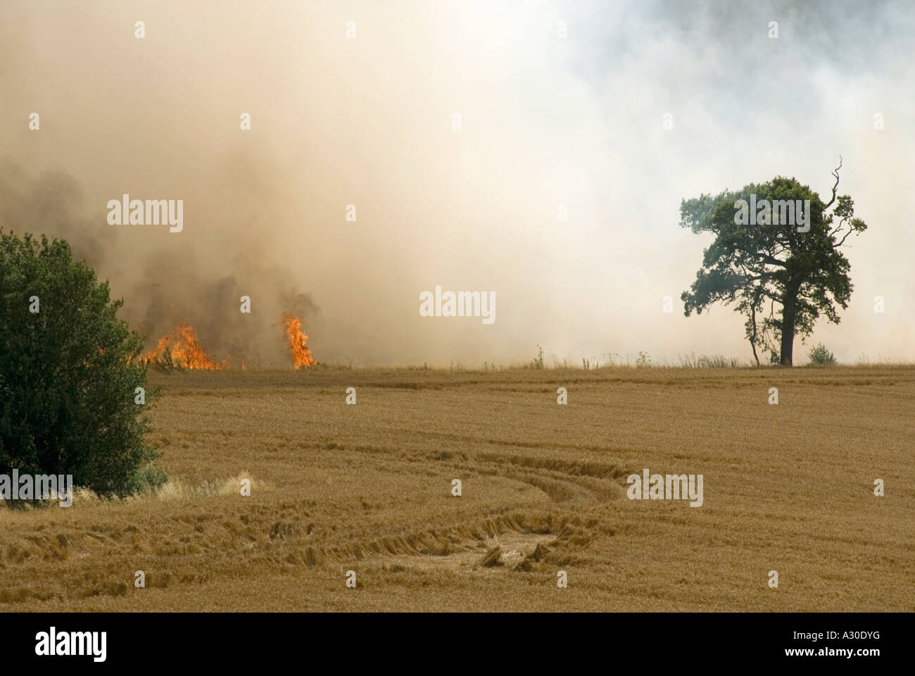 Field fires uk hi-res stock photography and images - Alamy