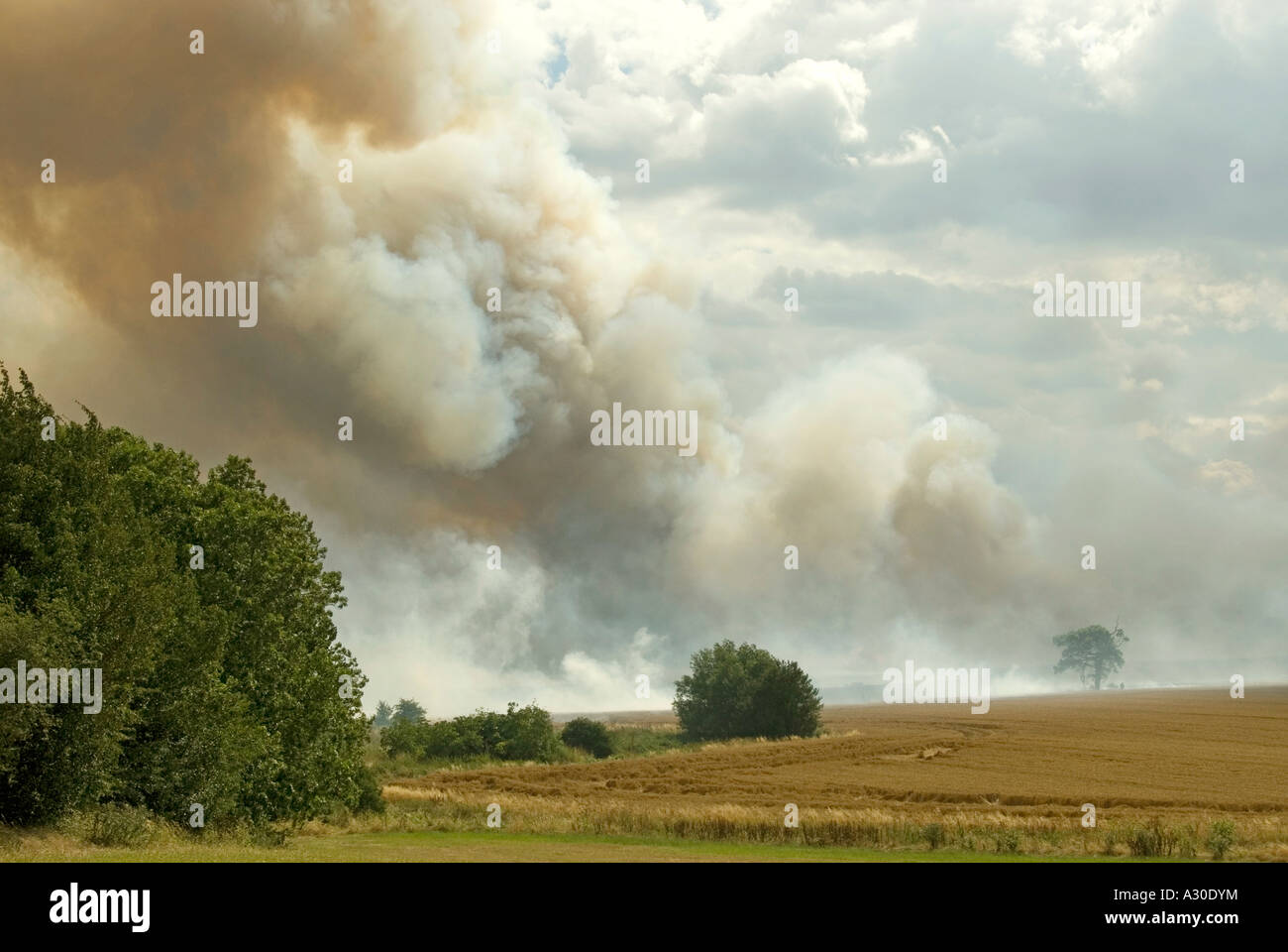 Field fires uk hi-res stock photography and images - Alamy