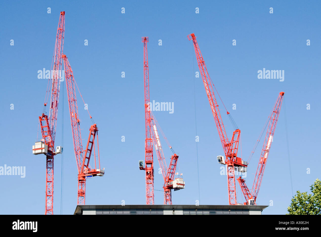 Group of six red tower cranes construction industry building site ...