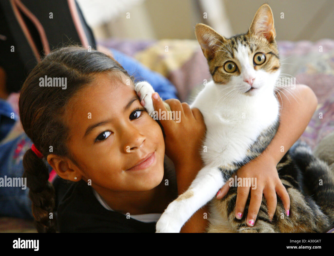 A Girl And Her Pet Cat MR model released Stock Photo - Alamy