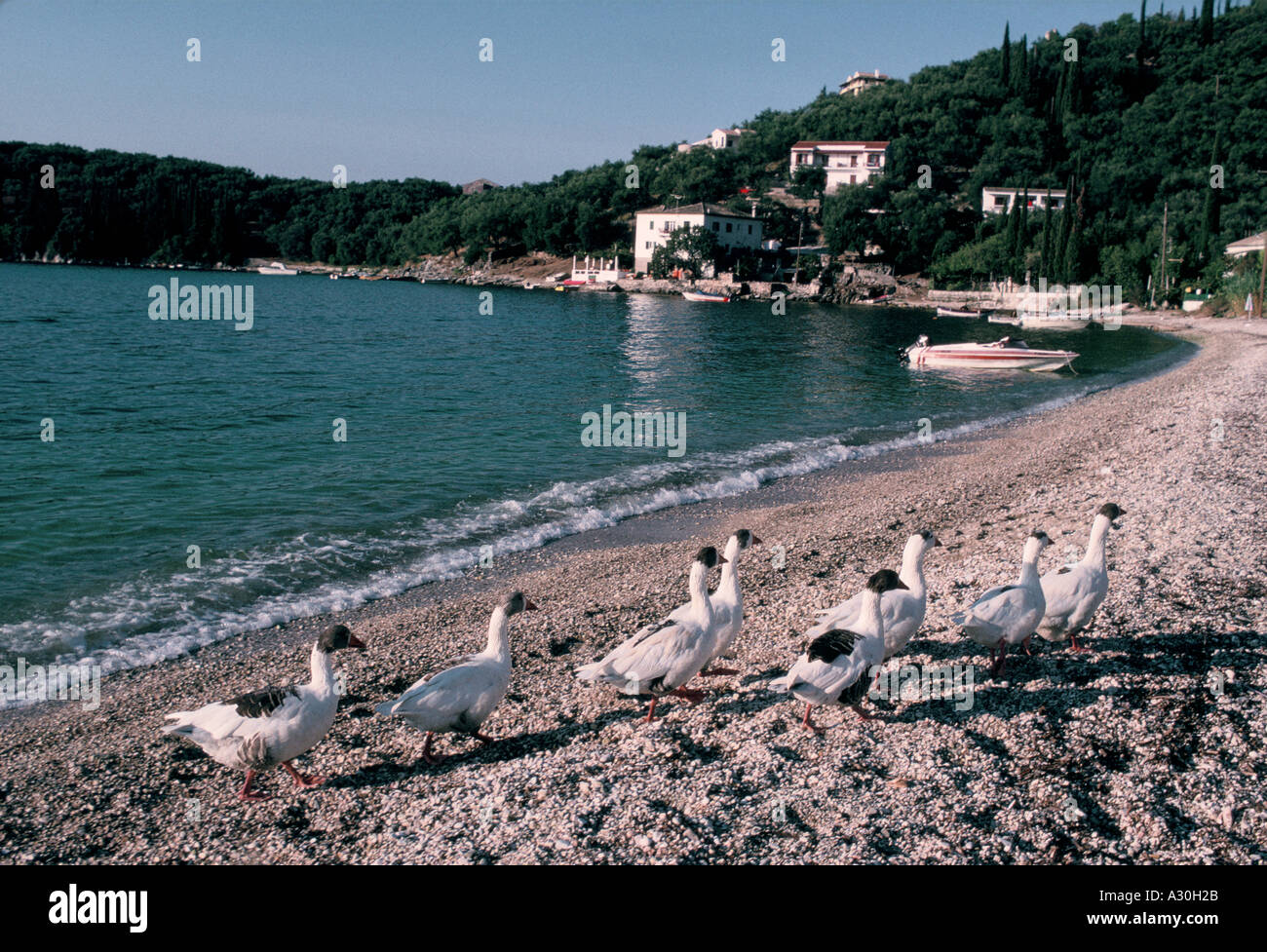 corfu island greece 1990 Stock Photo - Alamy