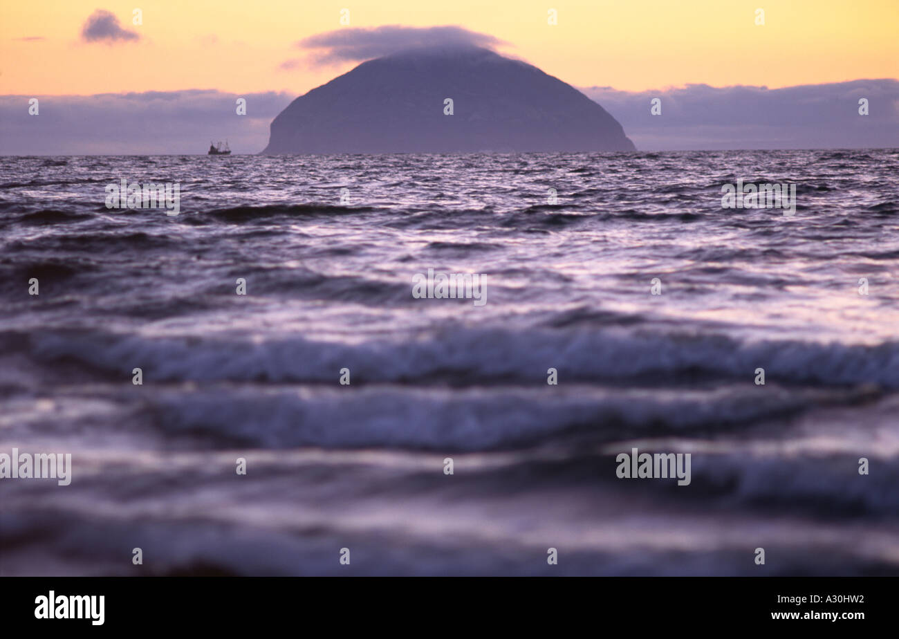 Firth clyde fish hi-res stock photography and images - Alamy