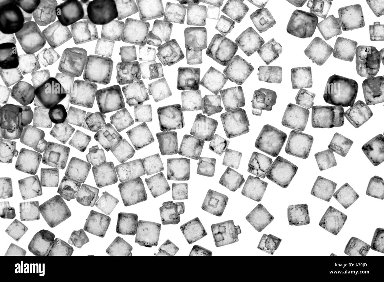 Sodium chloride nacl table salt Black and White Stock Photos & Images ...