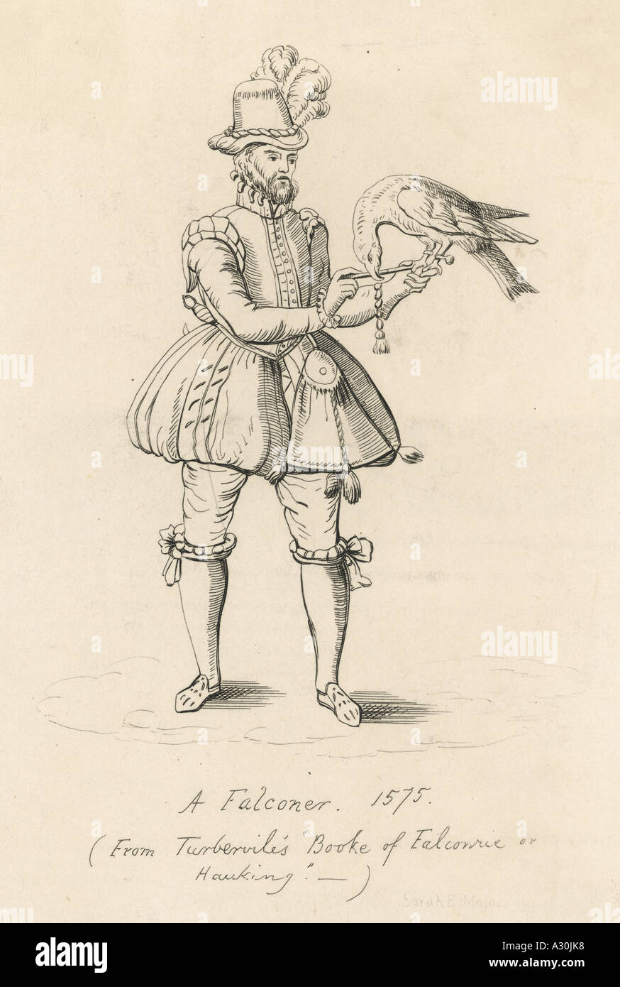 Elizabethan hunting hi-res stock photography and images - Alamy