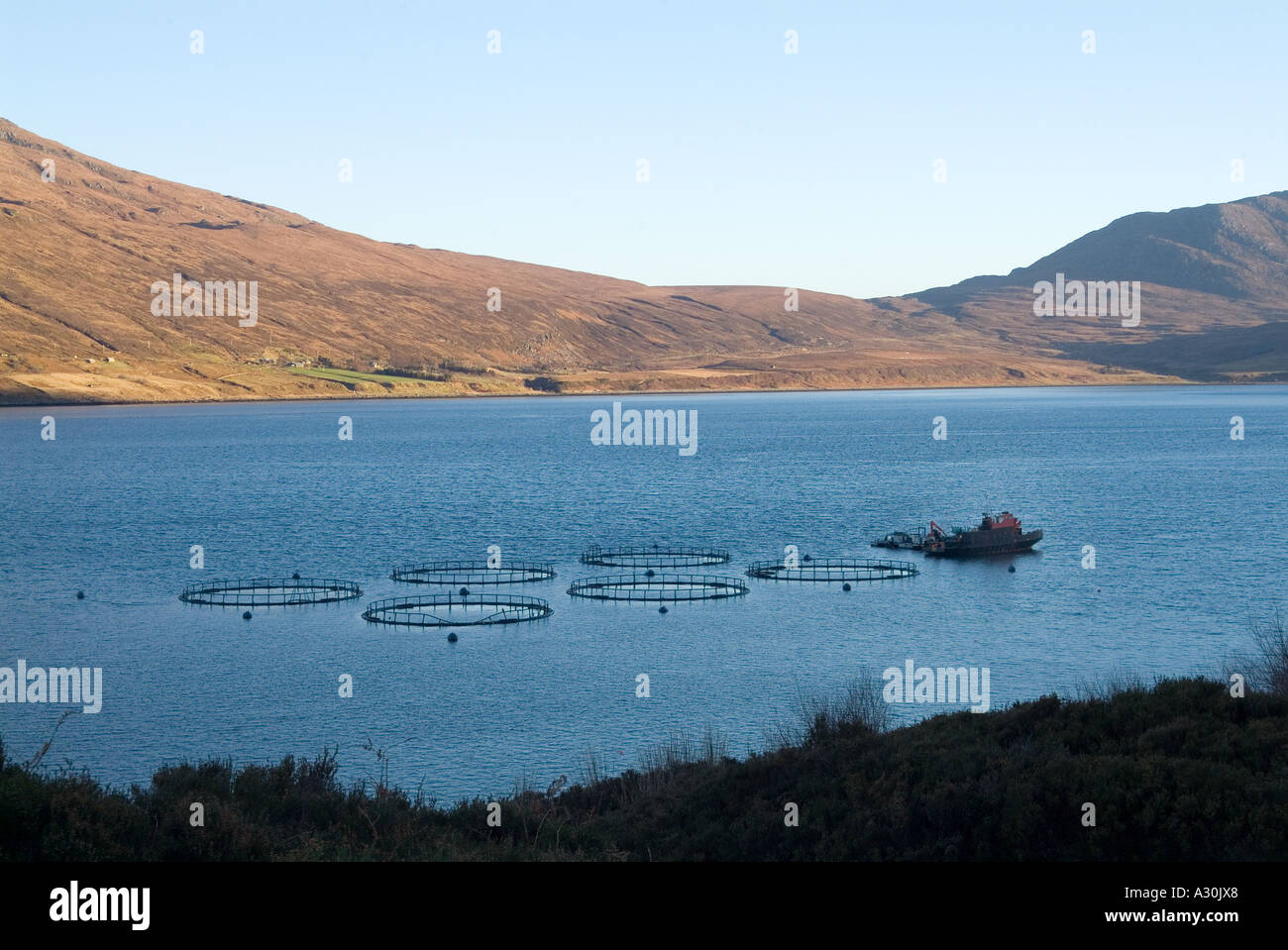 Wester Ross Fish Farm High Resolution Stock Photography and Images - Alamy