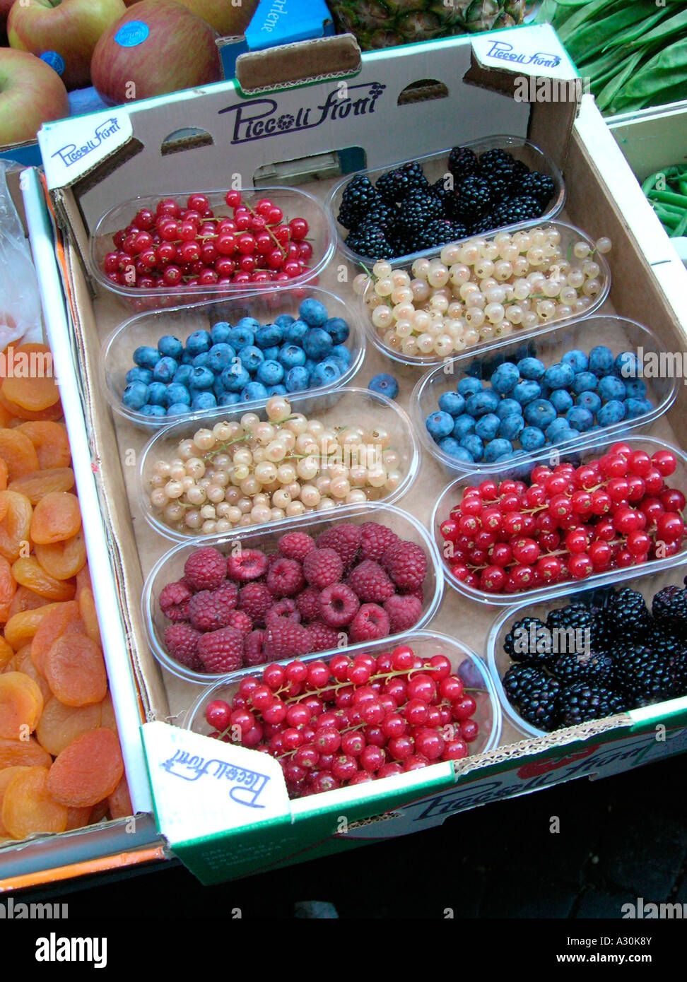 ITALY, ROME,CAMPO DE FIORI MARKET, FRESH BERRIES Stock Photo - Alamy