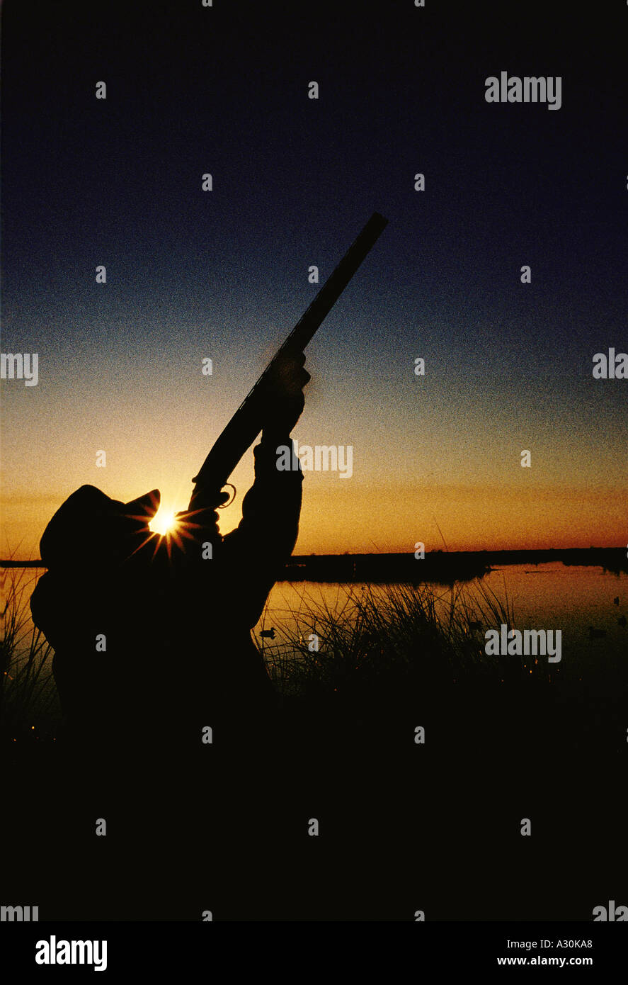 usa mississippi delta jimmie vizier cajun ex poacher and world champion ...