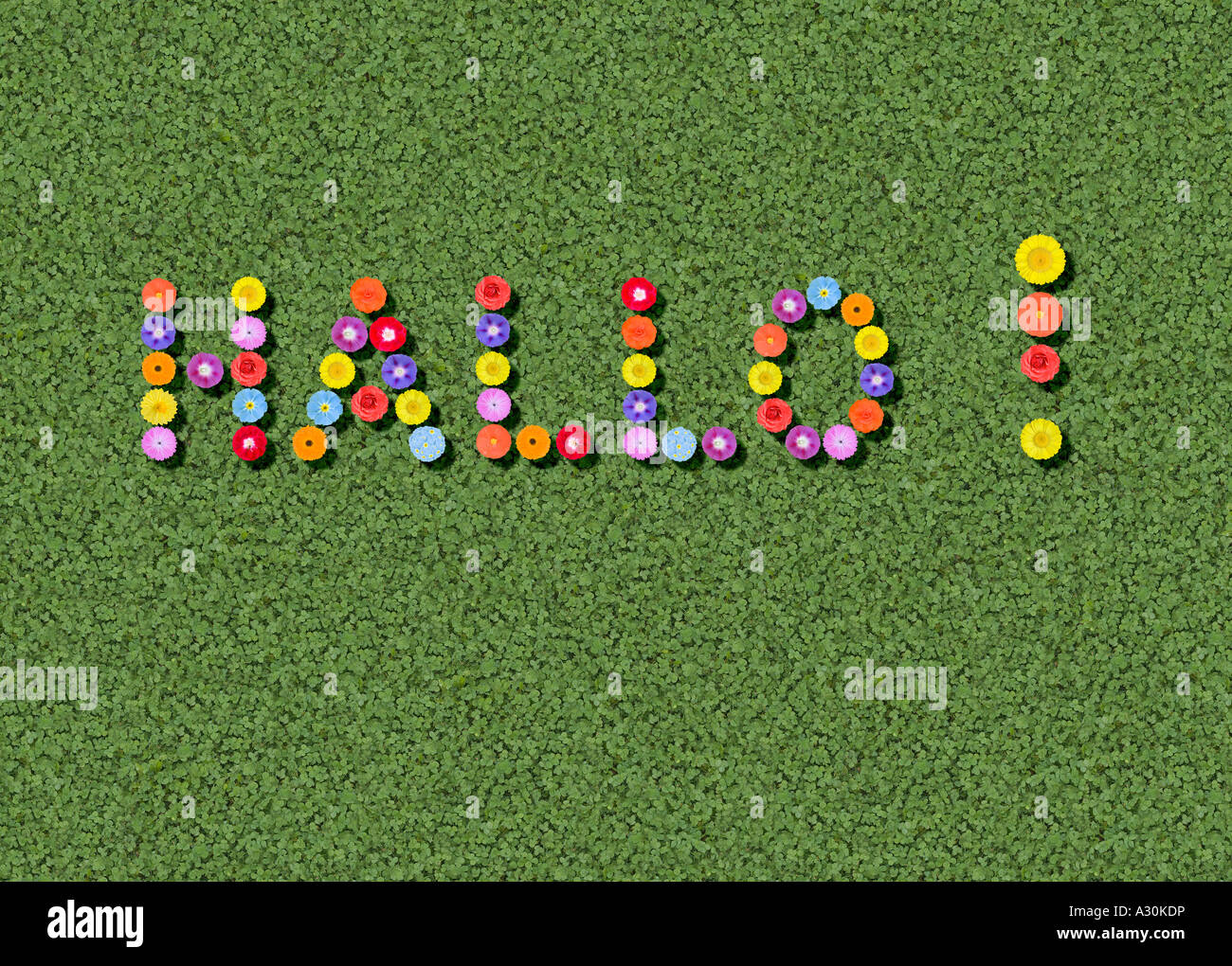 Hello in german language Hallo Stock Photo - Alamy