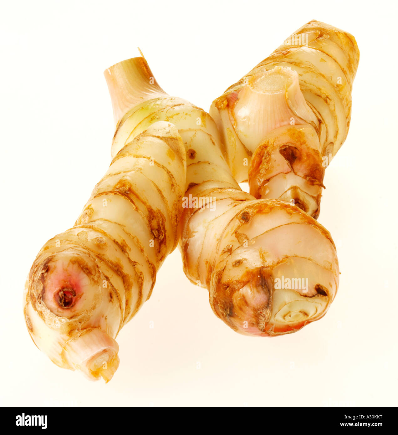 Java galangal hi-res stock photography and images - Alamy