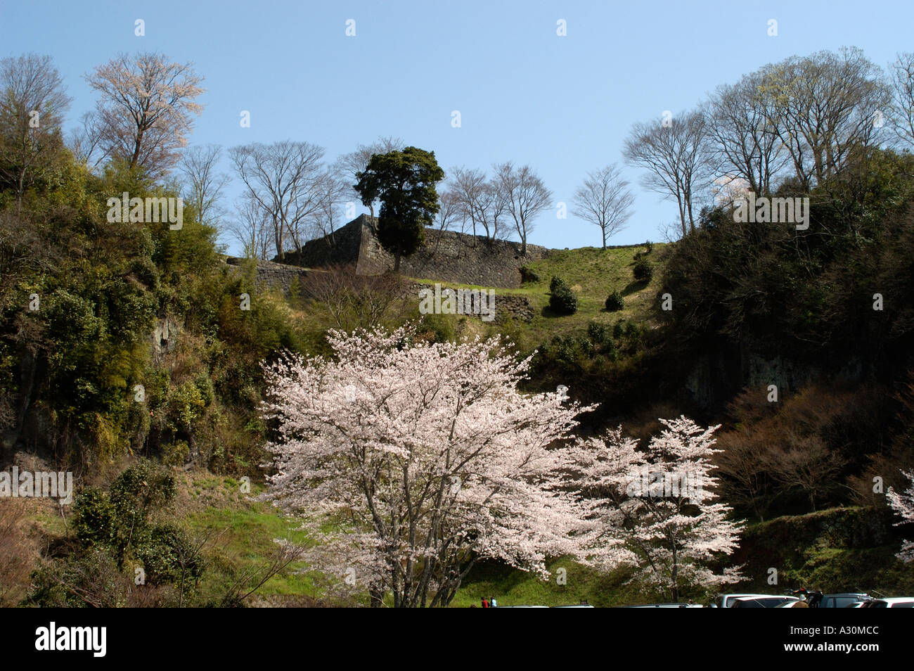 Oita castle hi-res stock photography and images - Alamy
