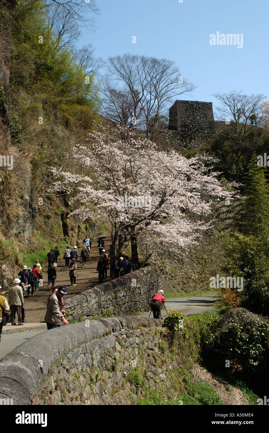 Oita castle hi-res stock photography and images - Alamy