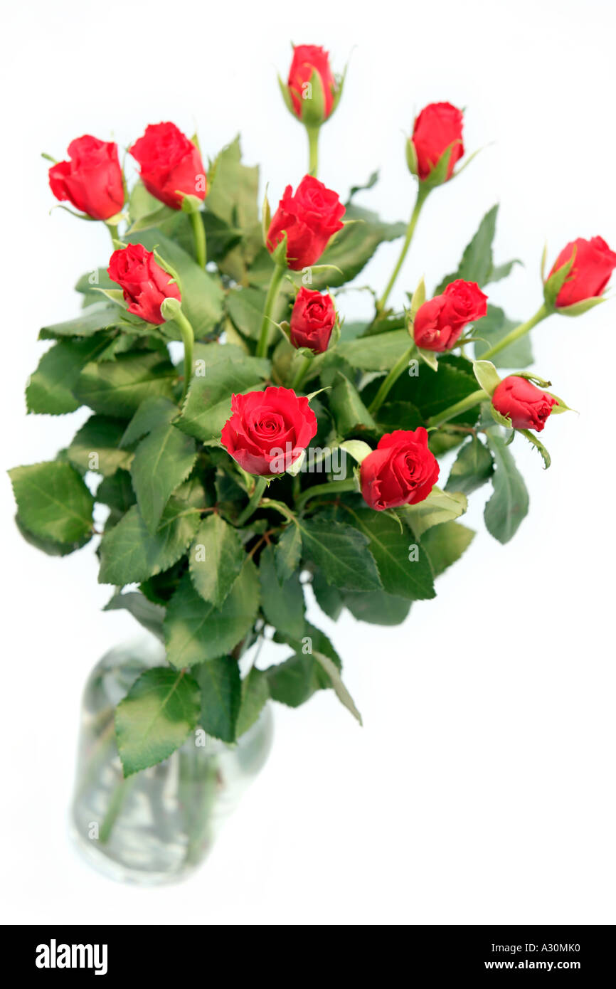 Red Rose Bouquet on White Background Stock Photo - Alamy