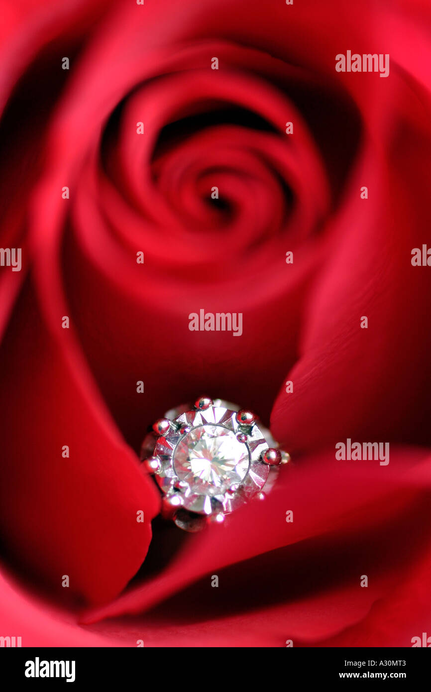 Diamond Ring in Red Rose Petals Stock Photo - Alamy