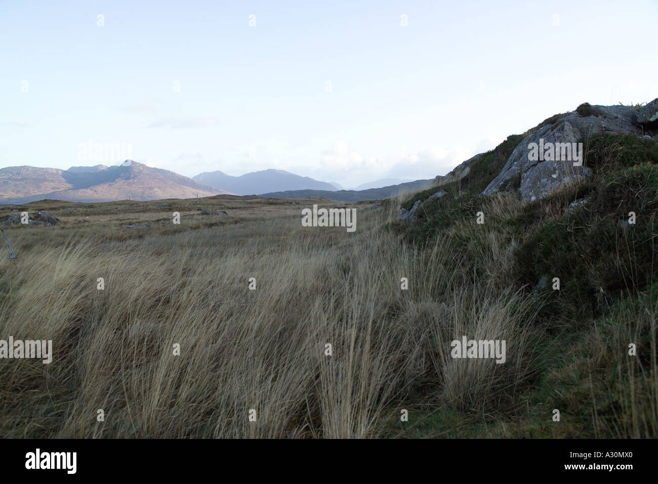 Peat marshes and bogs hi-res stock photography and images - Alamy