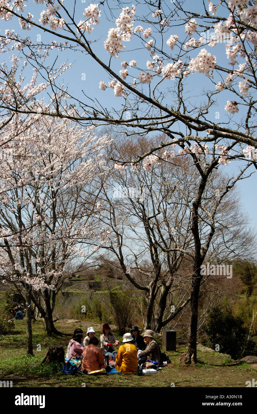 Oita castle hi-res stock photography and images - Alamy