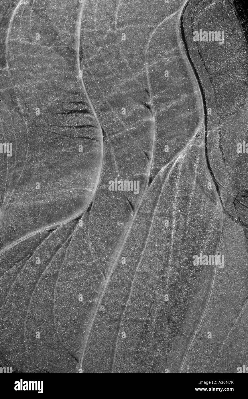 Puddle ice Black and White Stock Photos & Images - Alamy