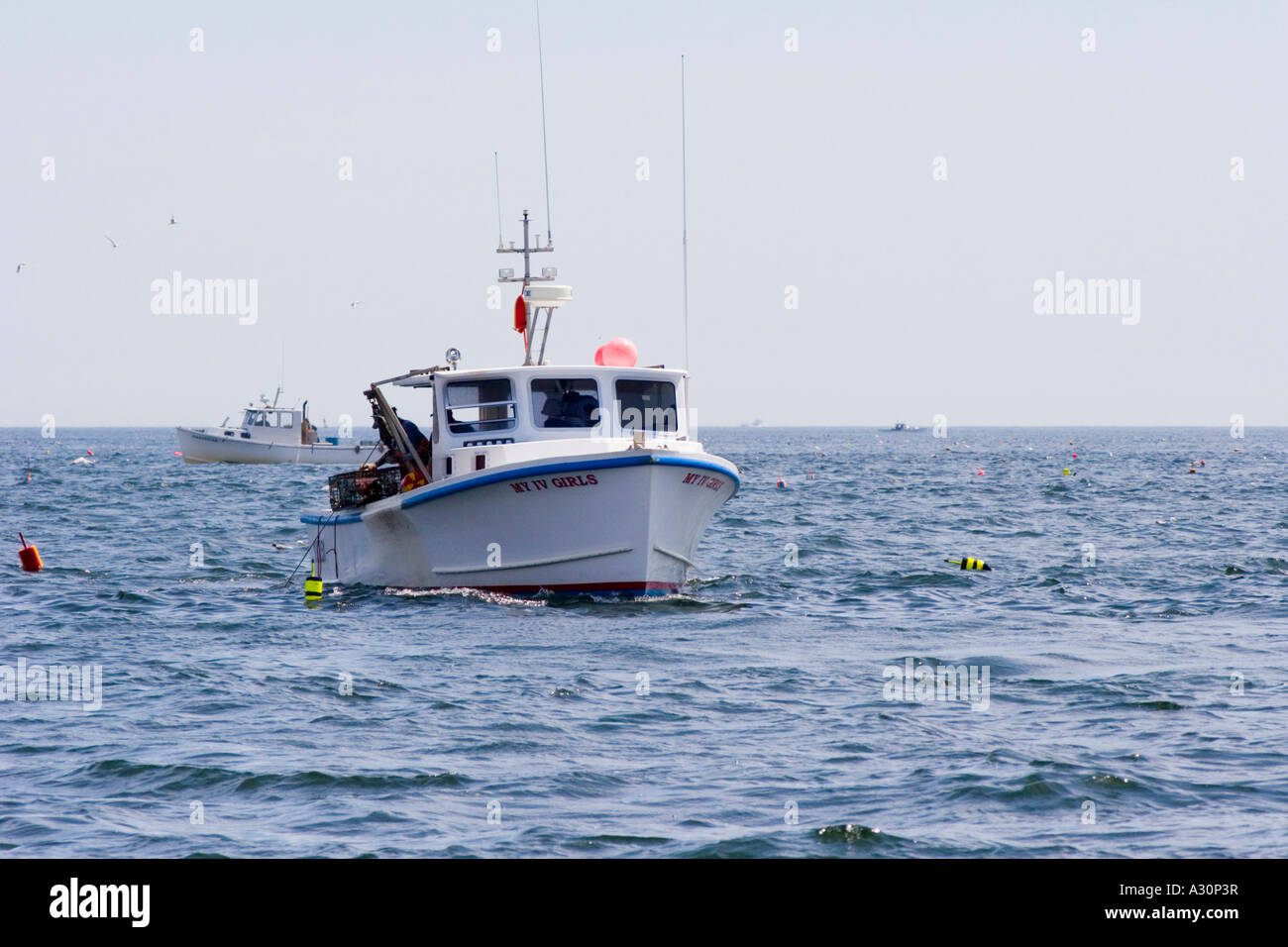 Lobsterboat MY IV GIRLS working the Muscle Ridge Channel in Maine Stock ...