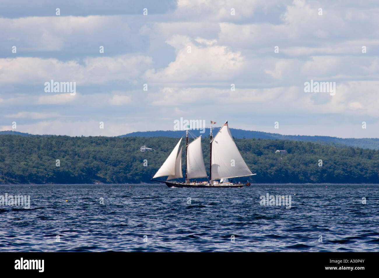 Schooner J E RIGGIN Stock Photo - Alamy