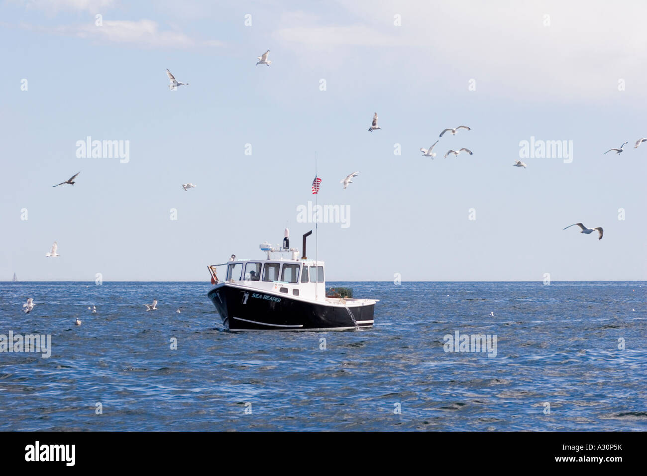 Lobster Boat SEA REAPER Stock Photo - Alamy