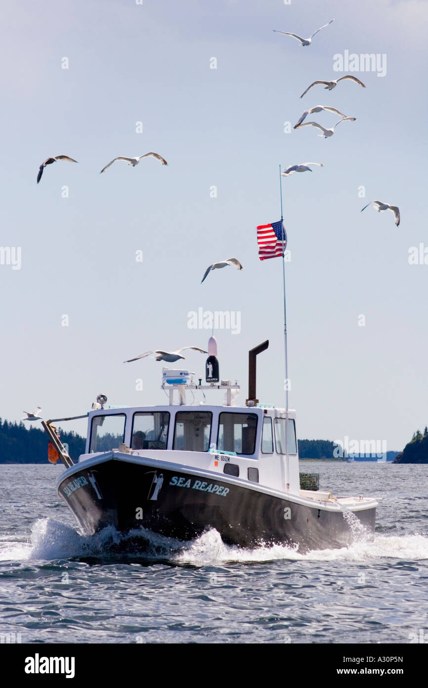 Lobster Boat SEA REAPER Stock Photo - Alamy