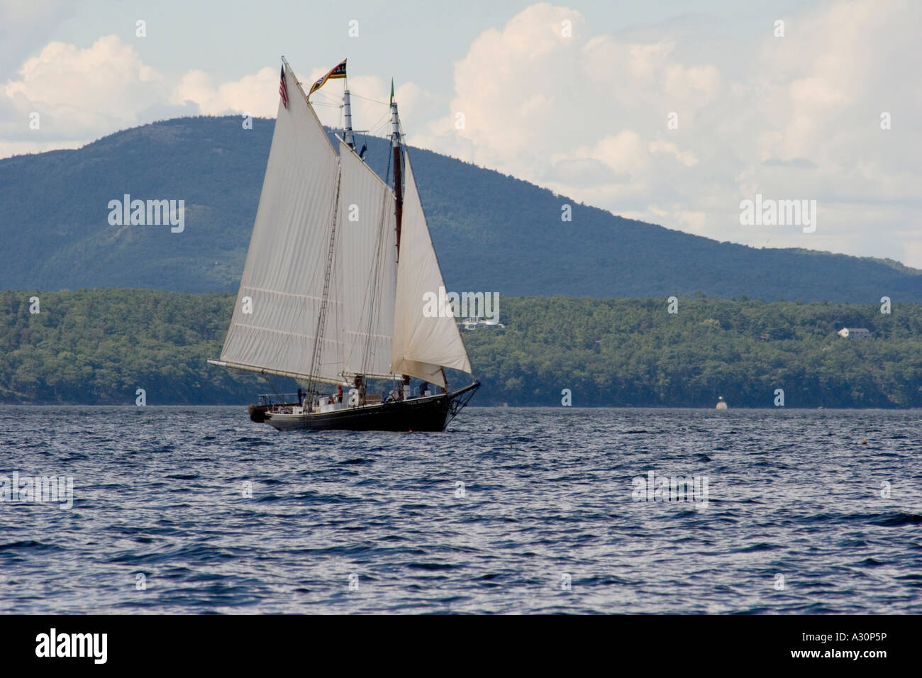 Schooner J E RIGGIN Stock Photo - Alamy