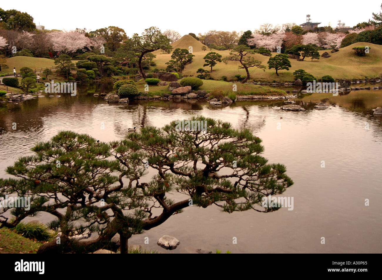 Suizenji park Kumamoto prefecture Kyushu Japan Stock Photo - Alamy