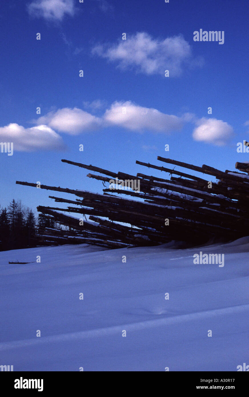 Dead lumber in an industrial park Stock Photo - Alamy
