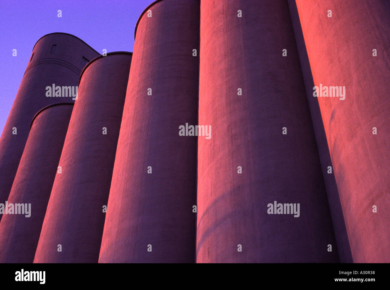 Malting grain hi-res stock photography and images - Alamy