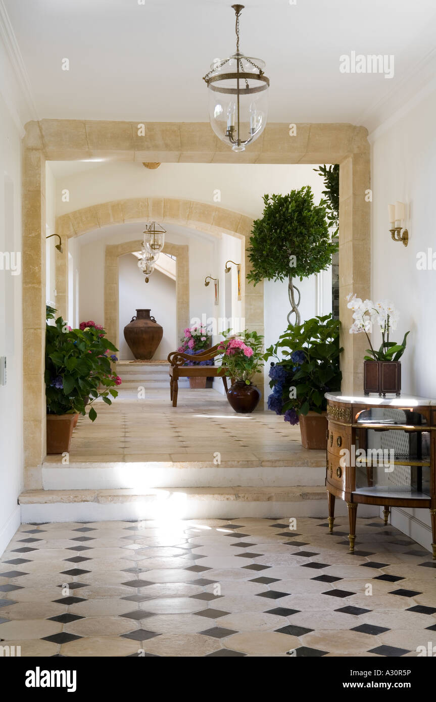Houseplants and cabinet in tiled hallway of French villa Stock Photo ...
