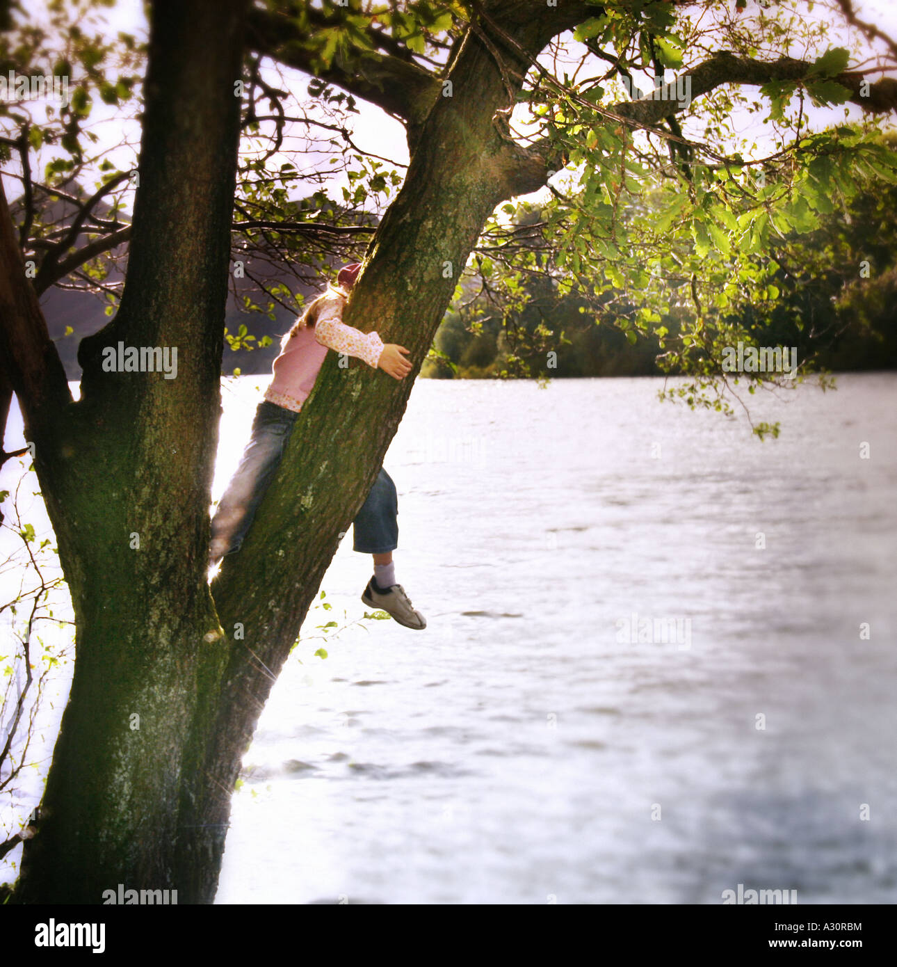 a child climbing a tree Stock Photo - Alamy
