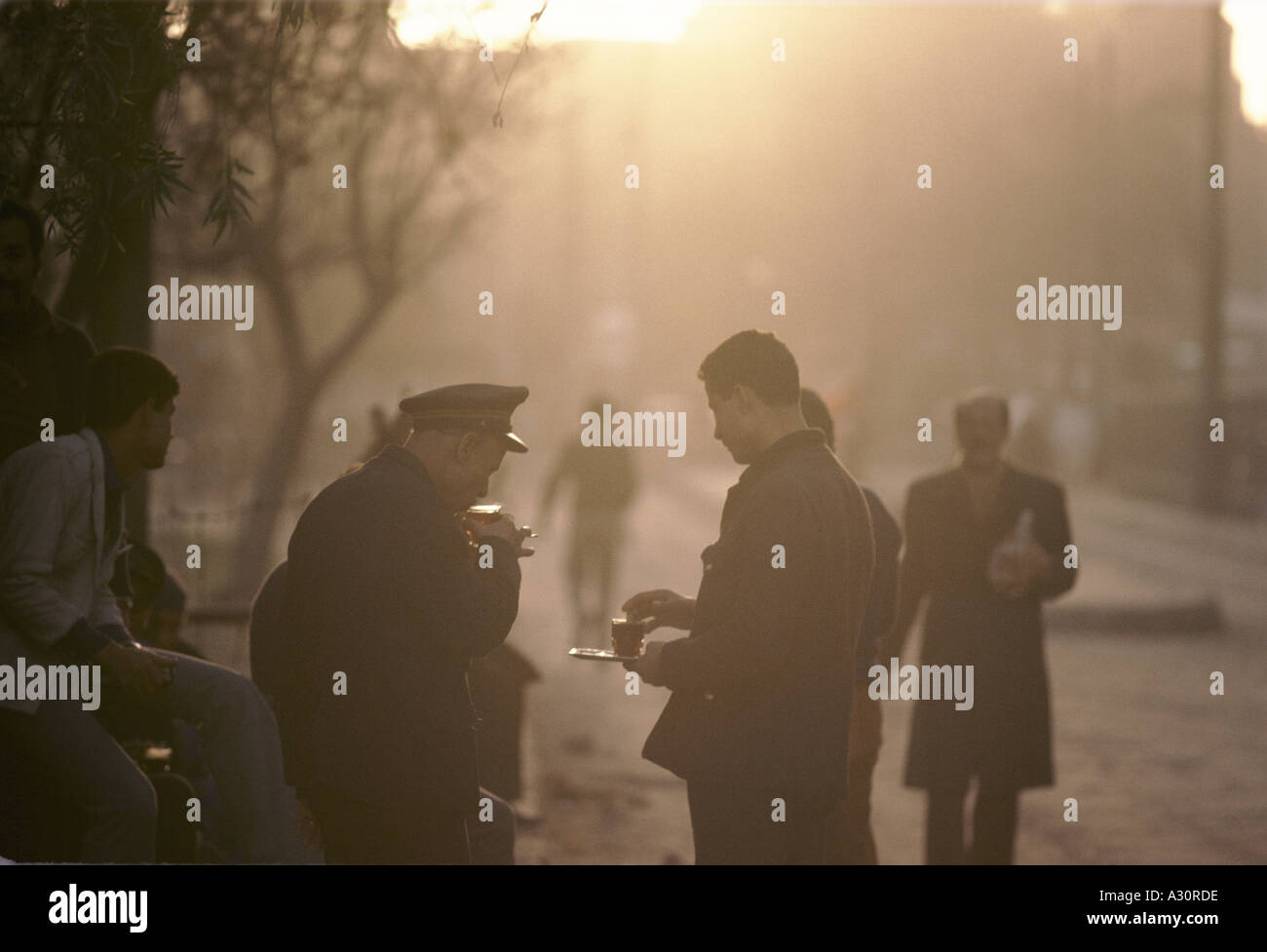 man drinking tea on street cairo egypt Stock Photo - Alamy