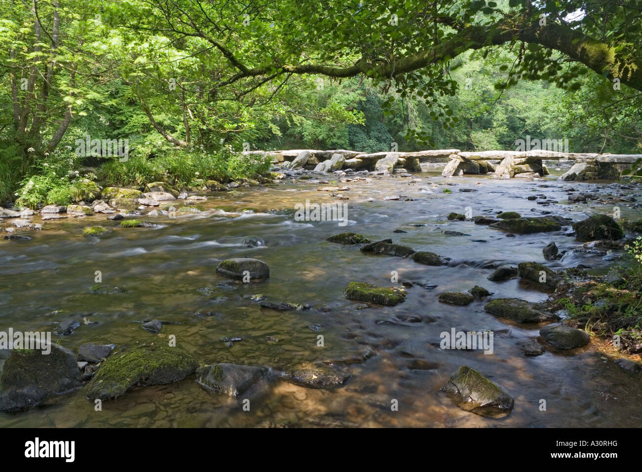 The prehistoric clapper bridge across the River Barle at Tarr Steps ...