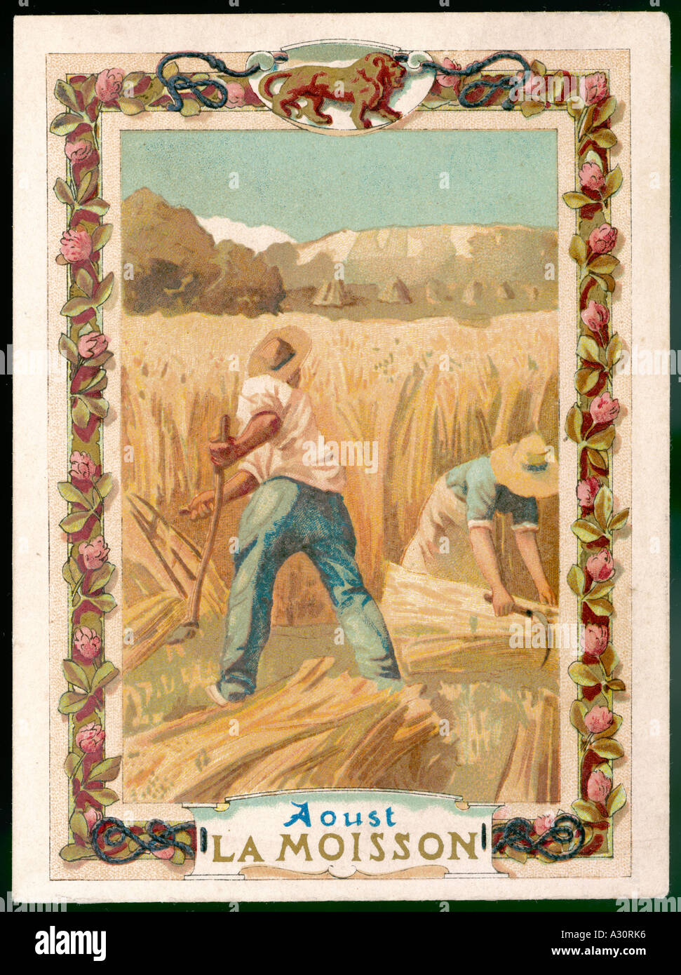 Seasons august harvest hi-res stock photography and images - Alamy