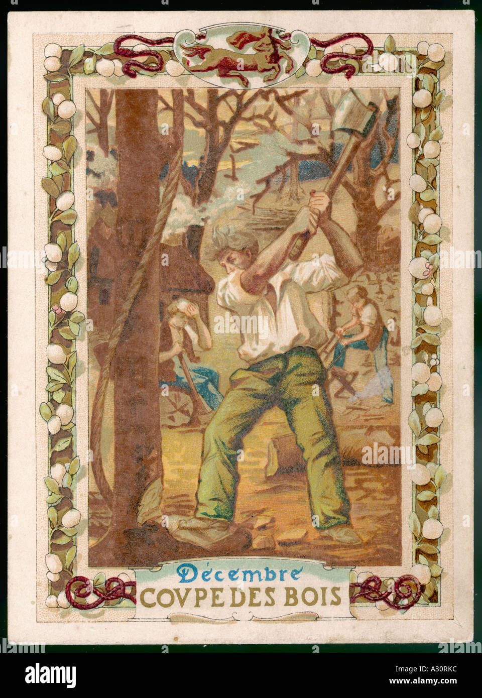 Seasons december trees hi-res stock photography and images - Alamy