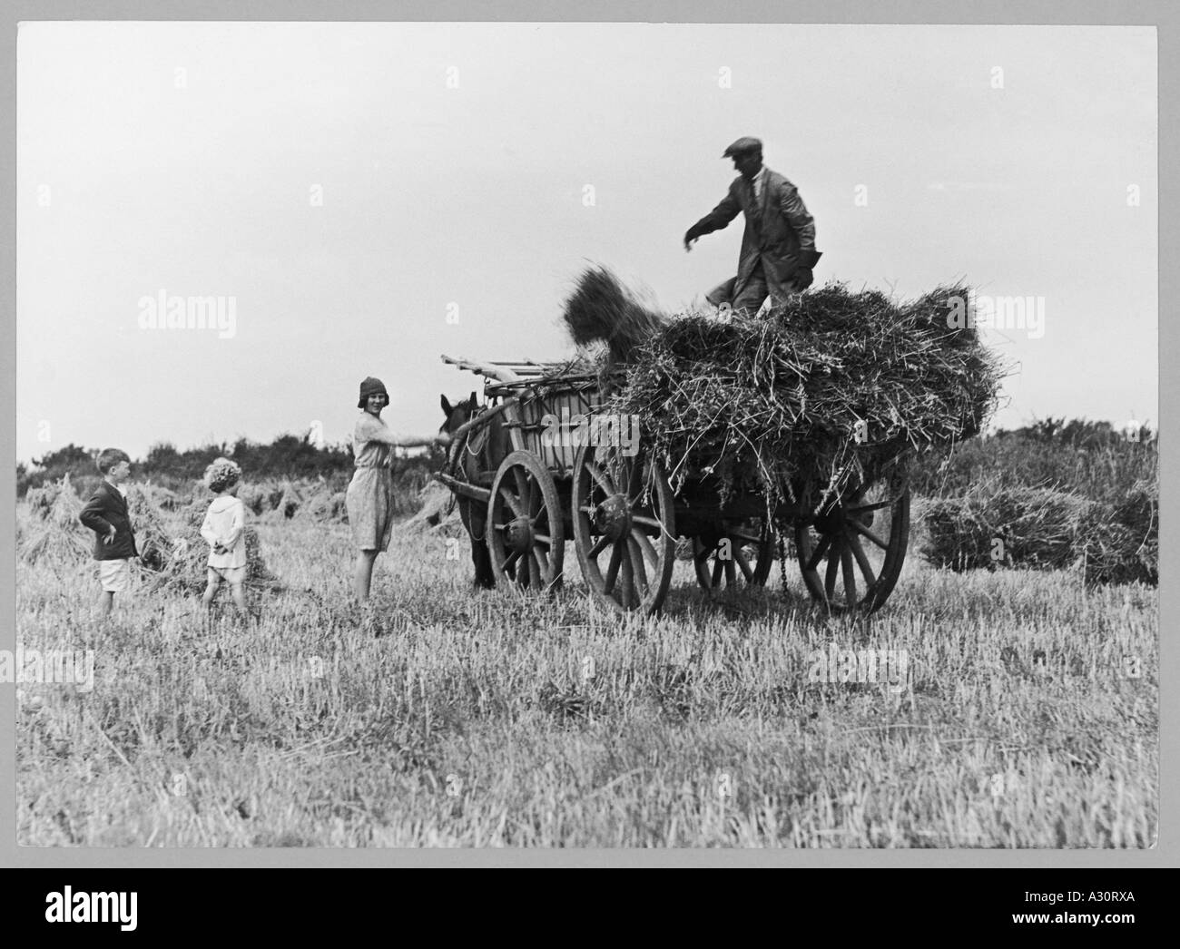 Horse Drawn Hay Wagon