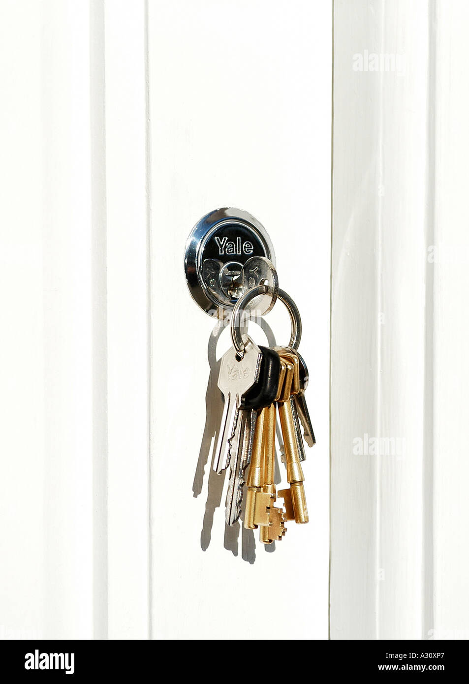 Silver reflective buildings Cut Out Stock Images & Pictures - Alamy