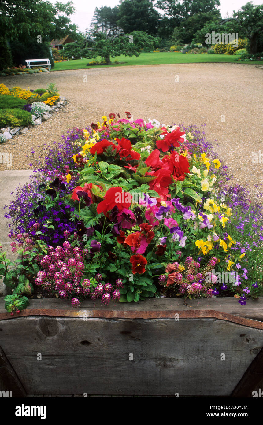 Wooden trough plants hi-res stock photography and images - Alamy