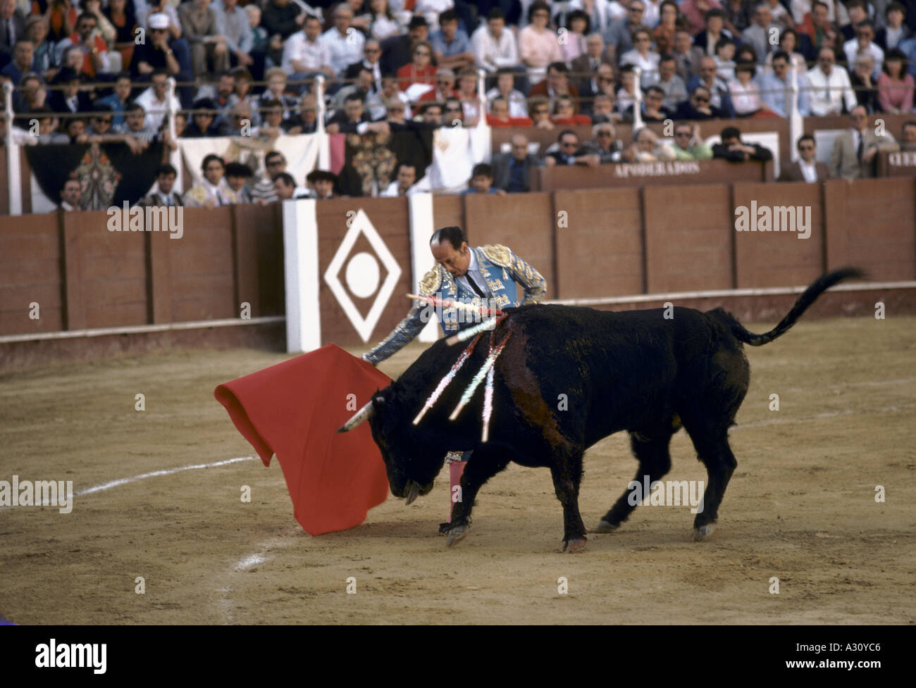 matador using red cape bull fightimg in malaga spain 1985 1985 Stock ...