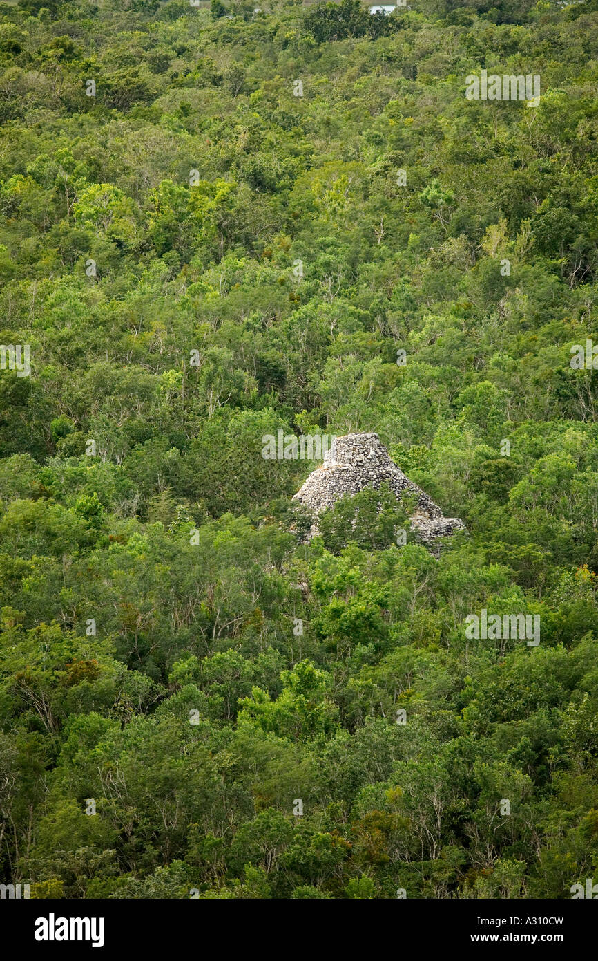 A Pyramid hidden in the jungle at the ruined city of Coba in Mexico ...
