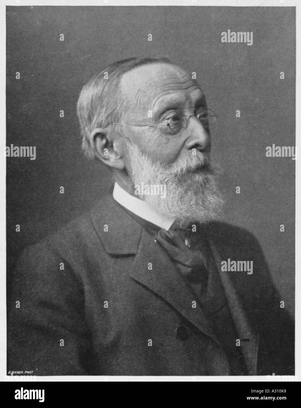 Virchow High Resolution Stock Photography and Images - Alamy