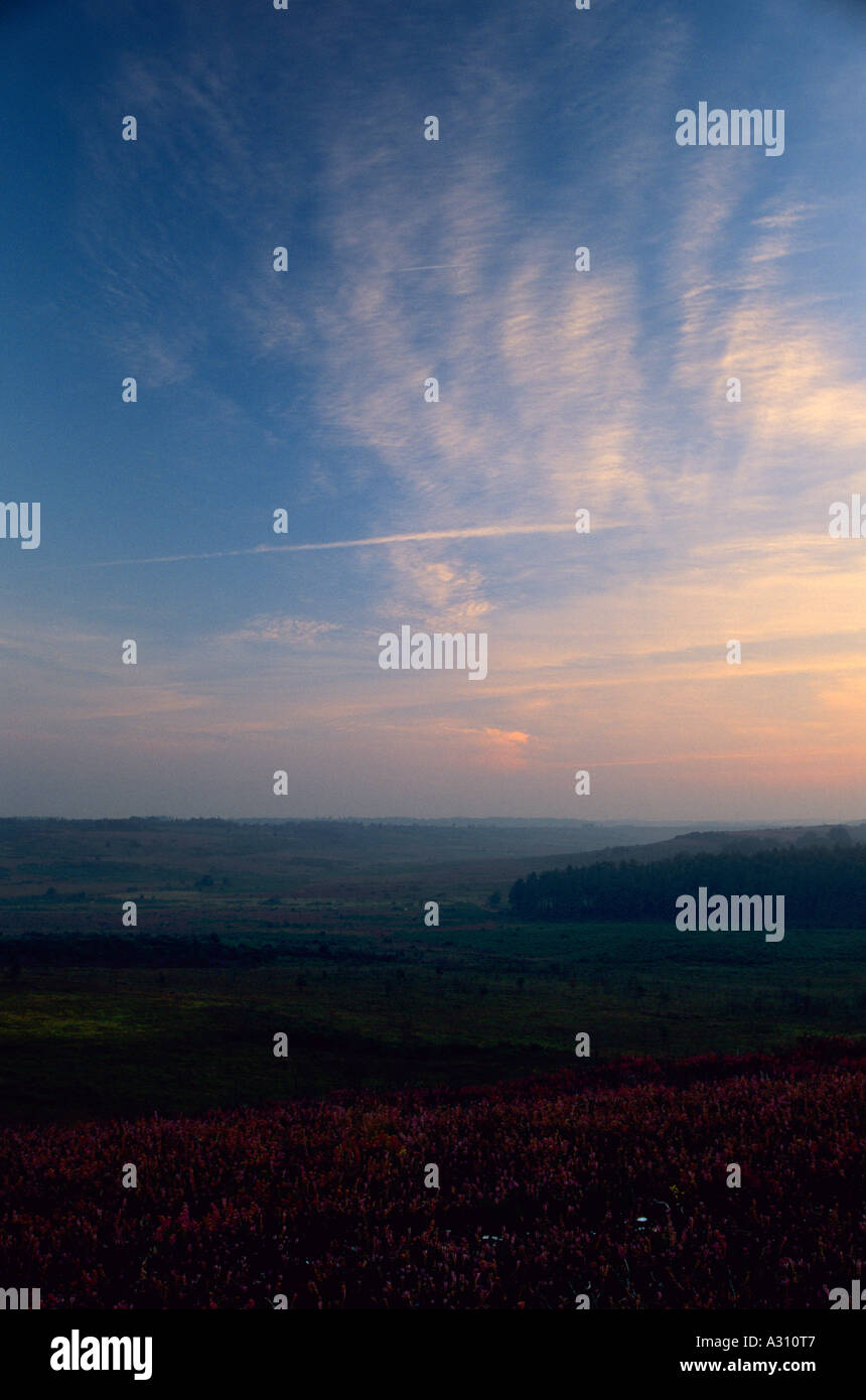 View from Hampton Ridge before dawn New Forest Hampshire England UK ...