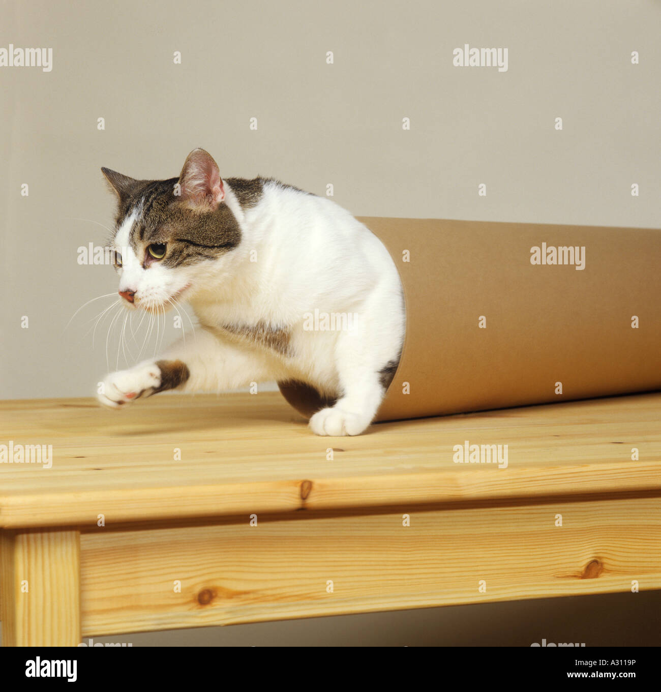 Through paper hi-res stock photography and images - Alamy