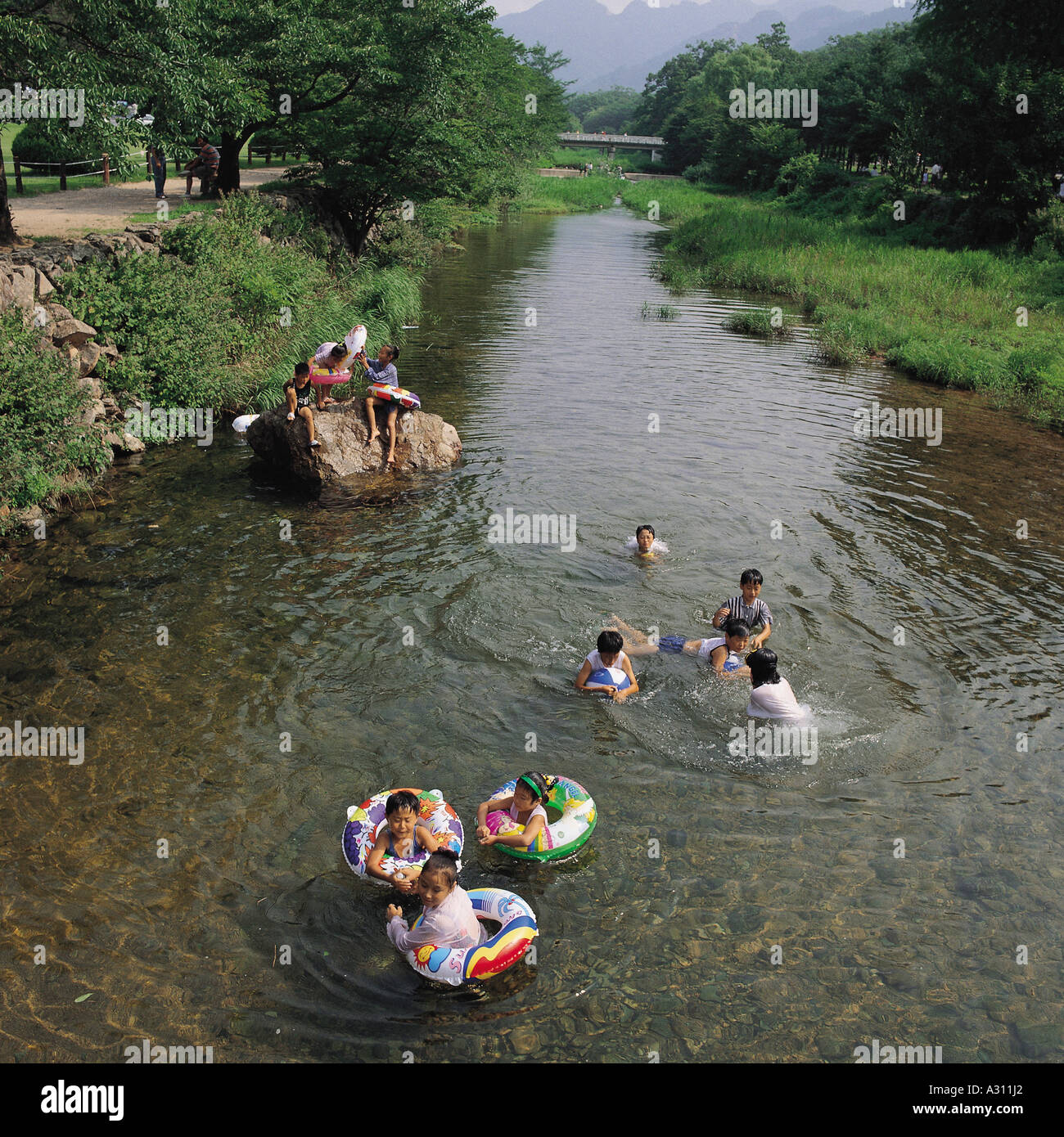 Brooklet hi-res stock photography and images - Alamy