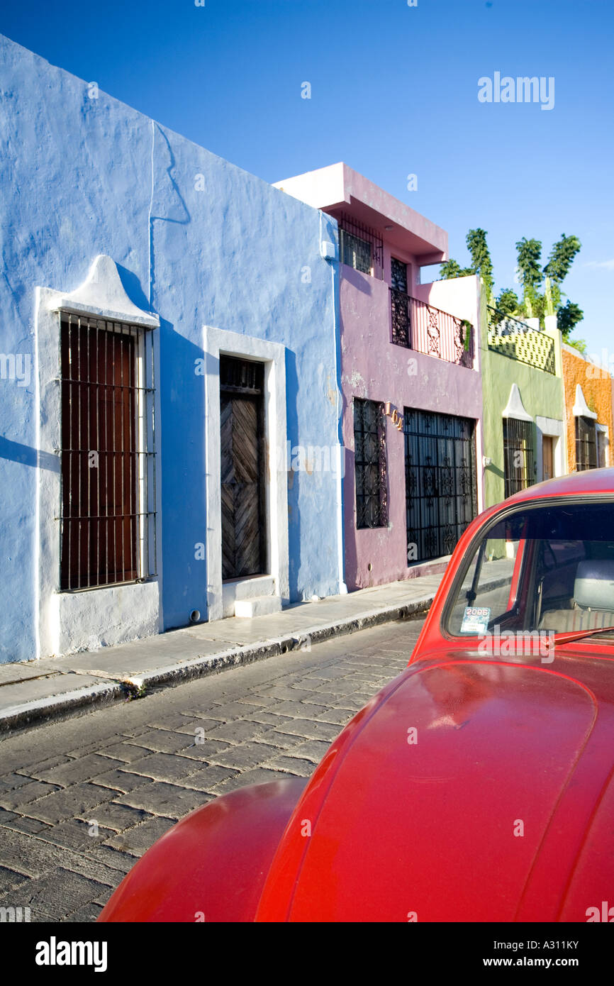 Bright coloured beetle hi-res stock photography and images - Alamy