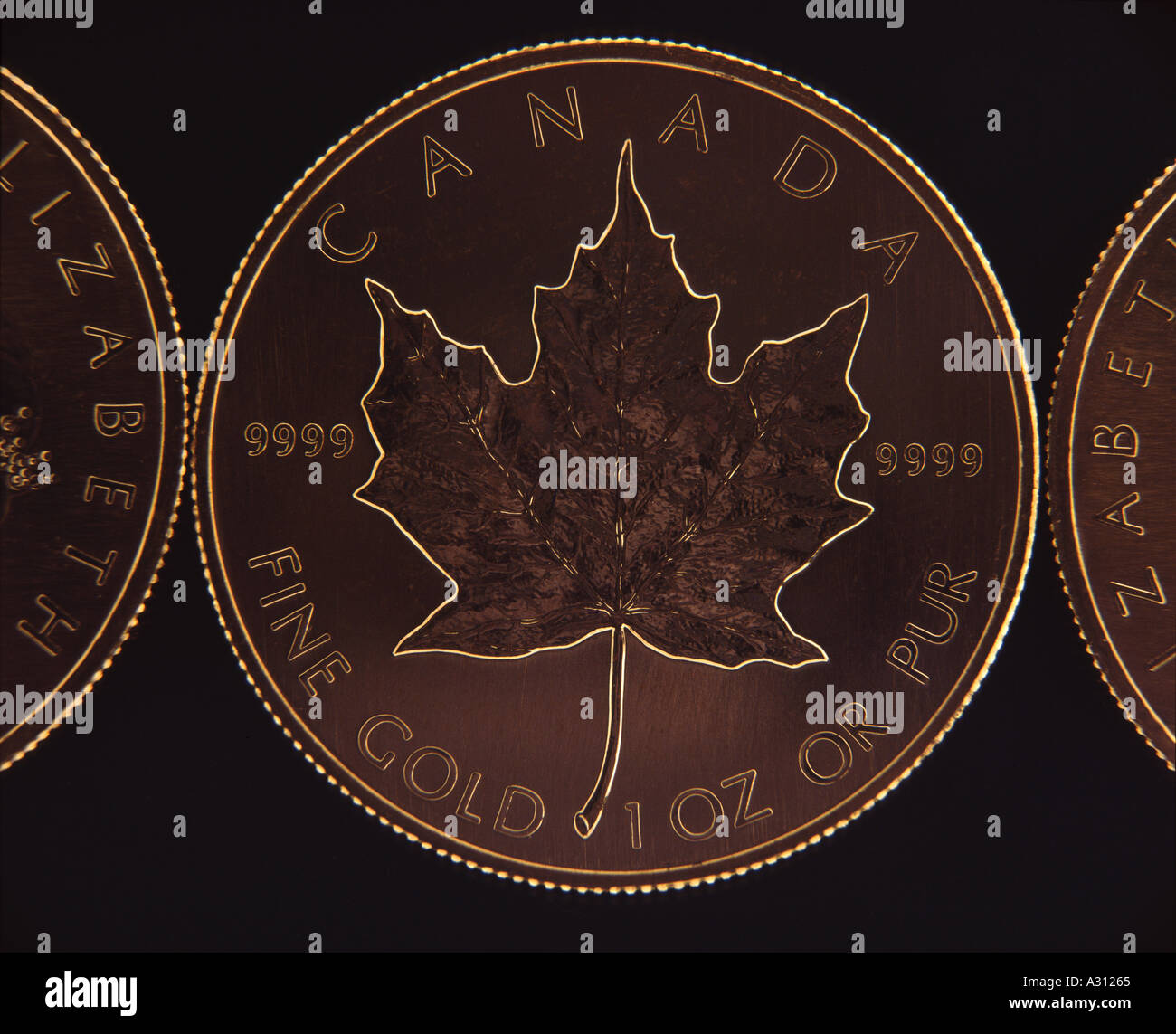 Canada gold leaf hi-res stock photography and images - Alamy