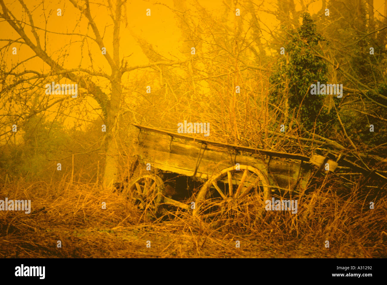 Old abandoned cart Suffolk England Stock Photo - Alamy
