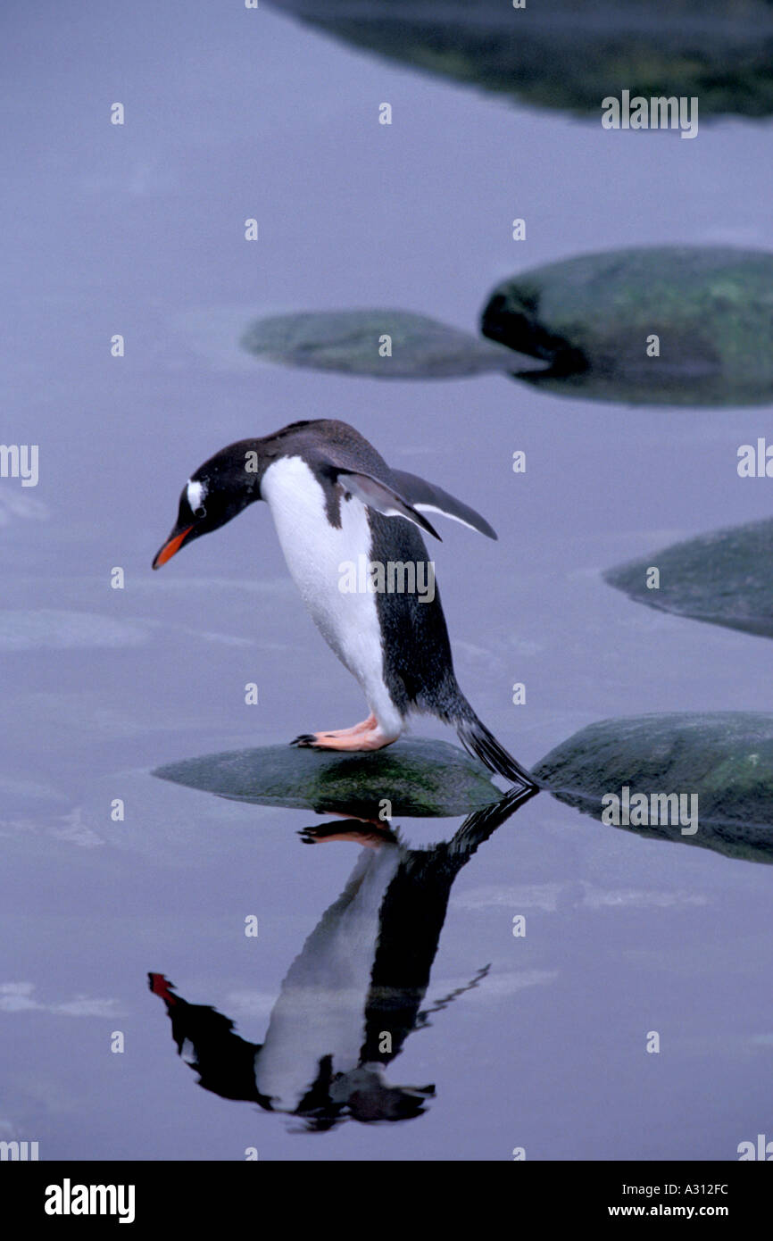 Self absorbed mirror hi-res stock photography and images - Alamy
