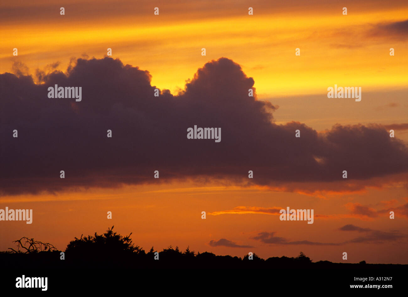 Twilight skyscape over White Moor New Forest Hampshire England UK Stock ...