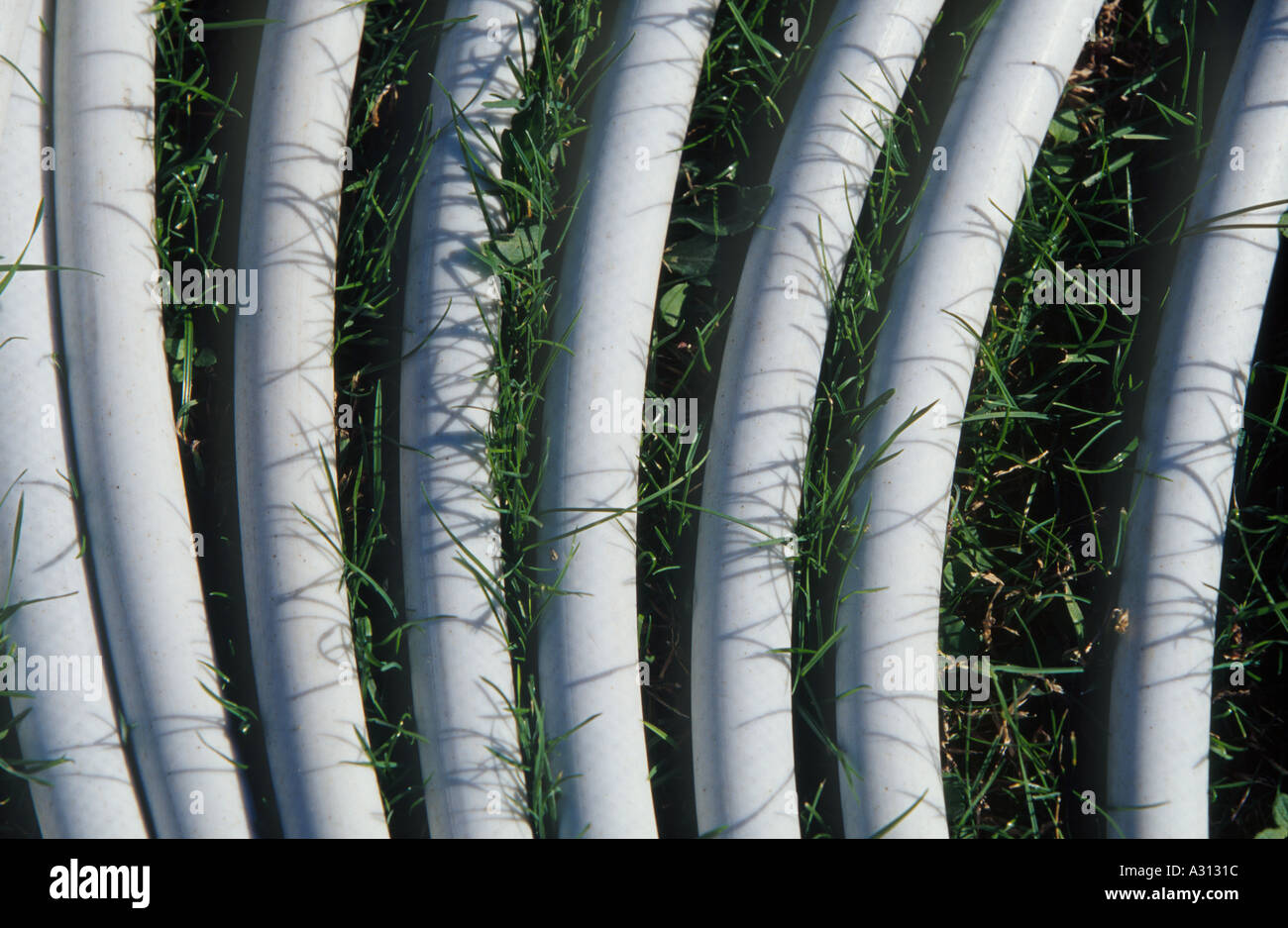 Garden hose on grass Stock Photo - Alamy