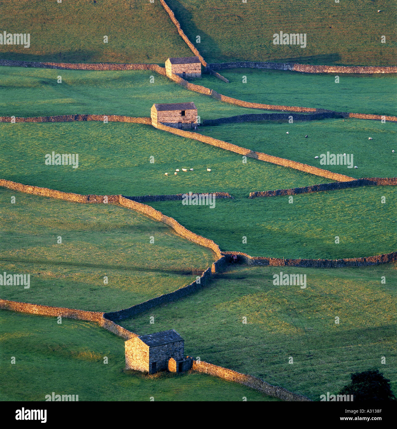 Sheepfolds hi-res stock photography and images - Alamy